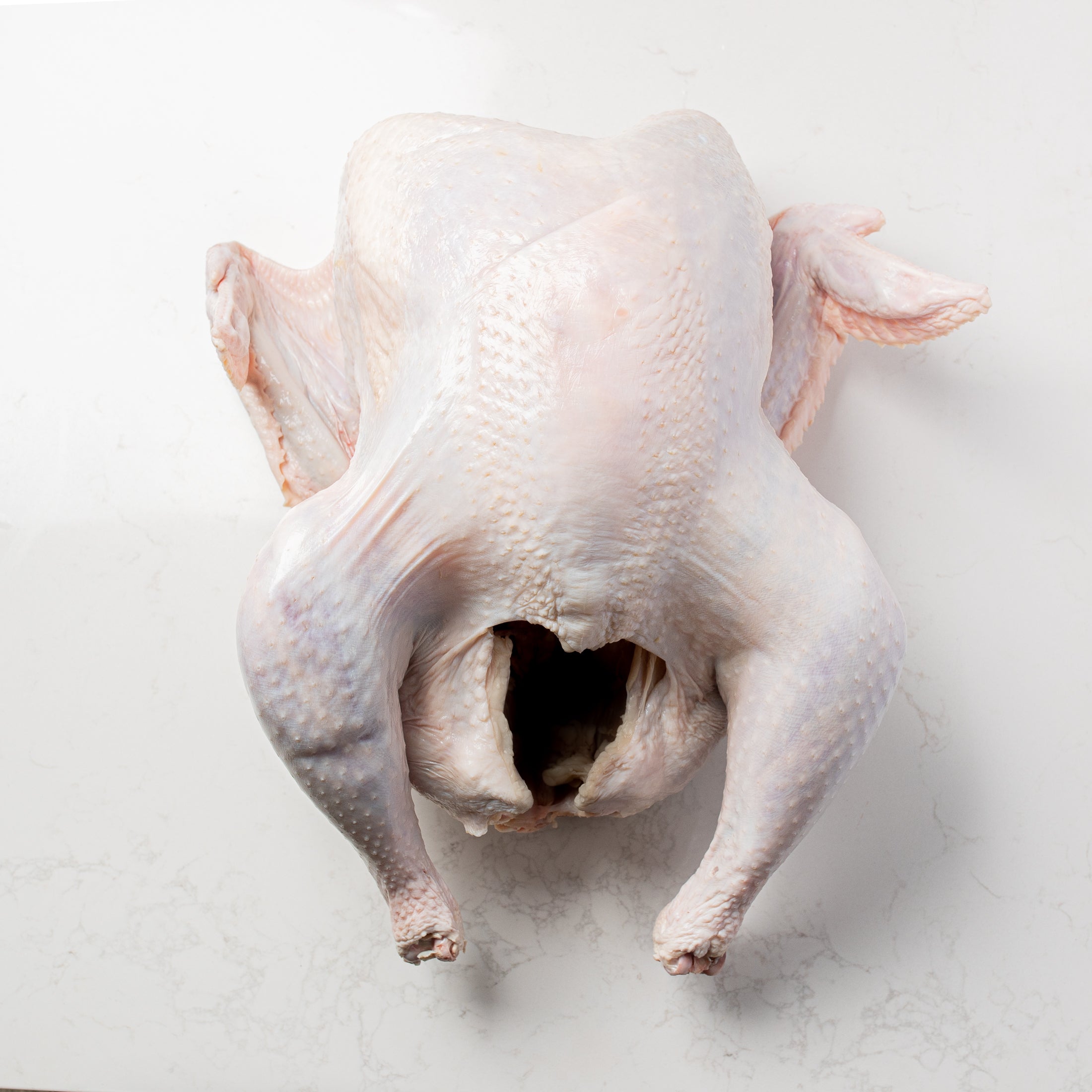 Organic Whole Turkey | Order for Delivery or Pickup – The Butcher Shoppe